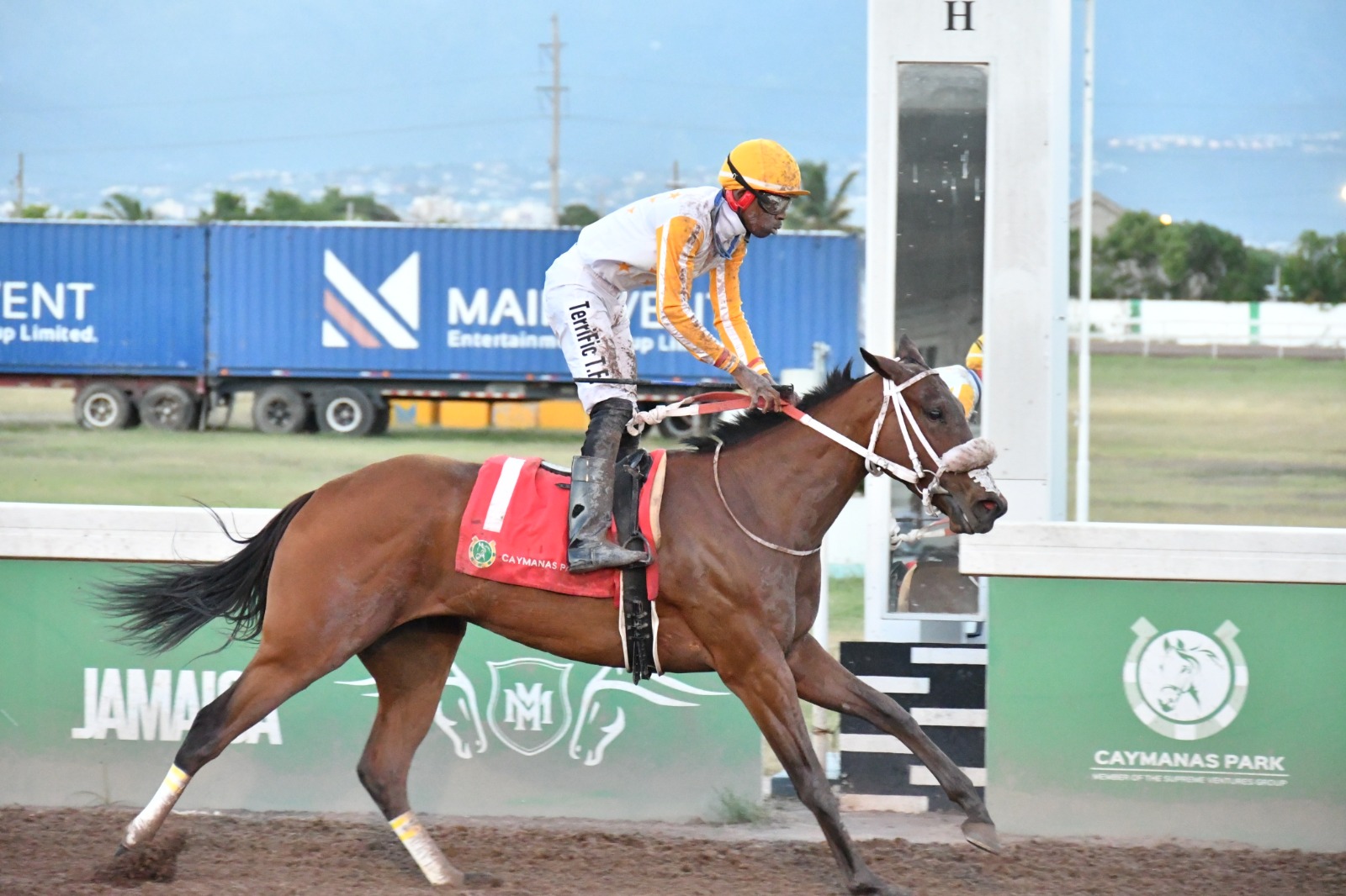 Dream Catcher’s staying power good for 1,000 Guineas | Sports | Jamaica ...