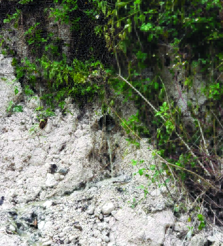 ‘Sewage is running into the river’ - Estuary Meadows residents bemoan ...